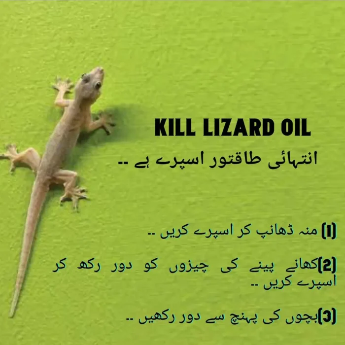 Kill Lizard – Insects Killer – Excitero